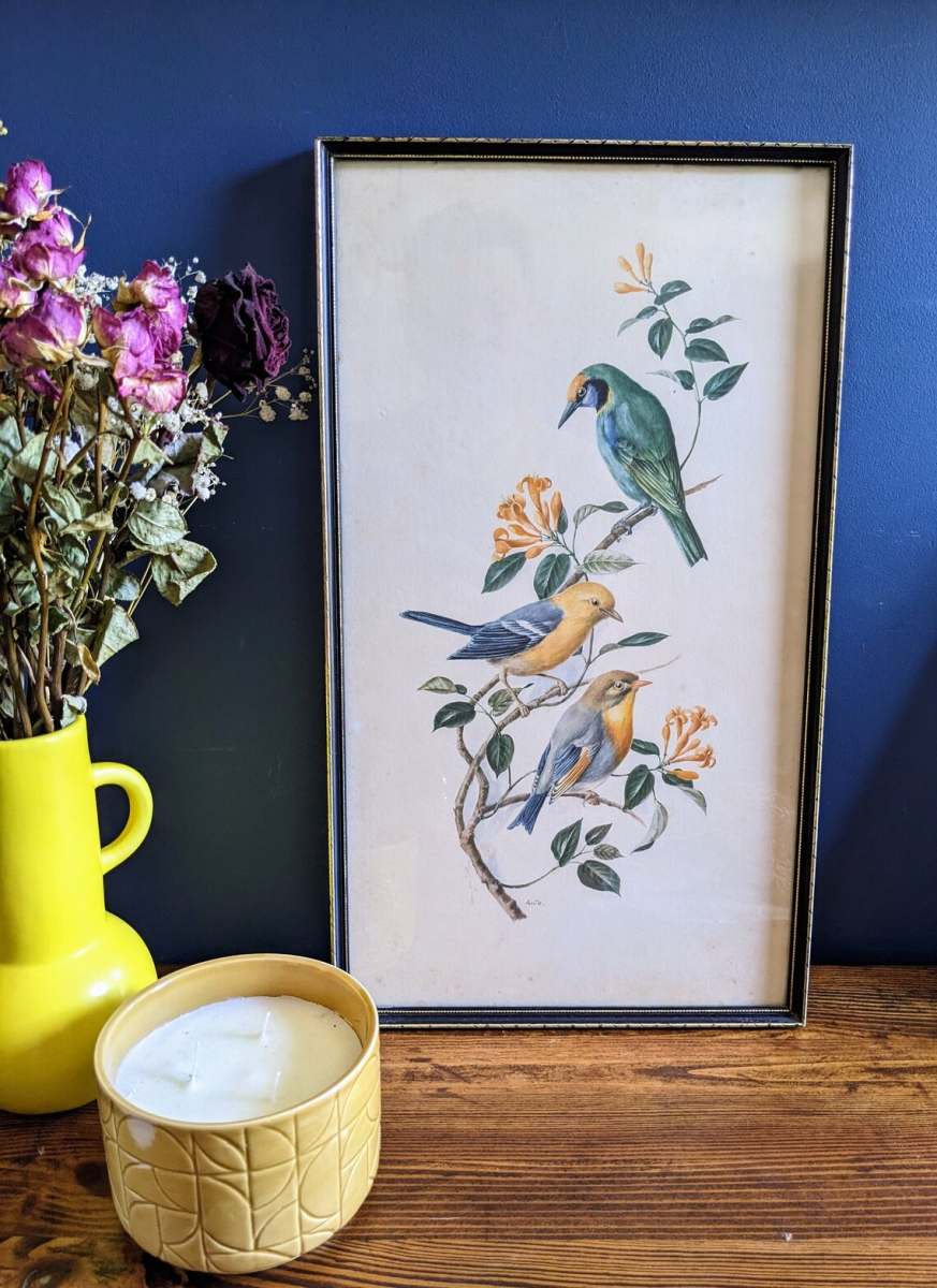 Vintage trio of birds illustration print in vintage solid wood glazed ...