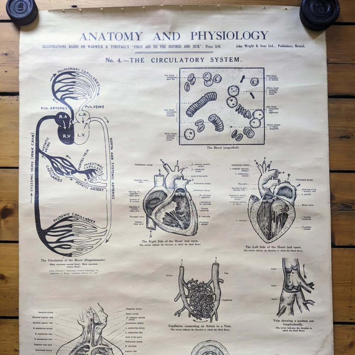 2 medical charts - Oaky Doke Vintage Home