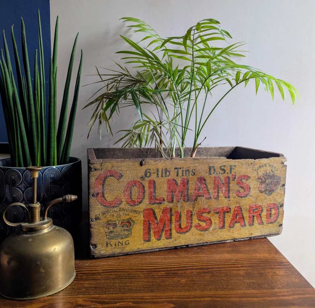 Early 1900s small wooden Colman’s Mustard packing box - Oaky Doke ...