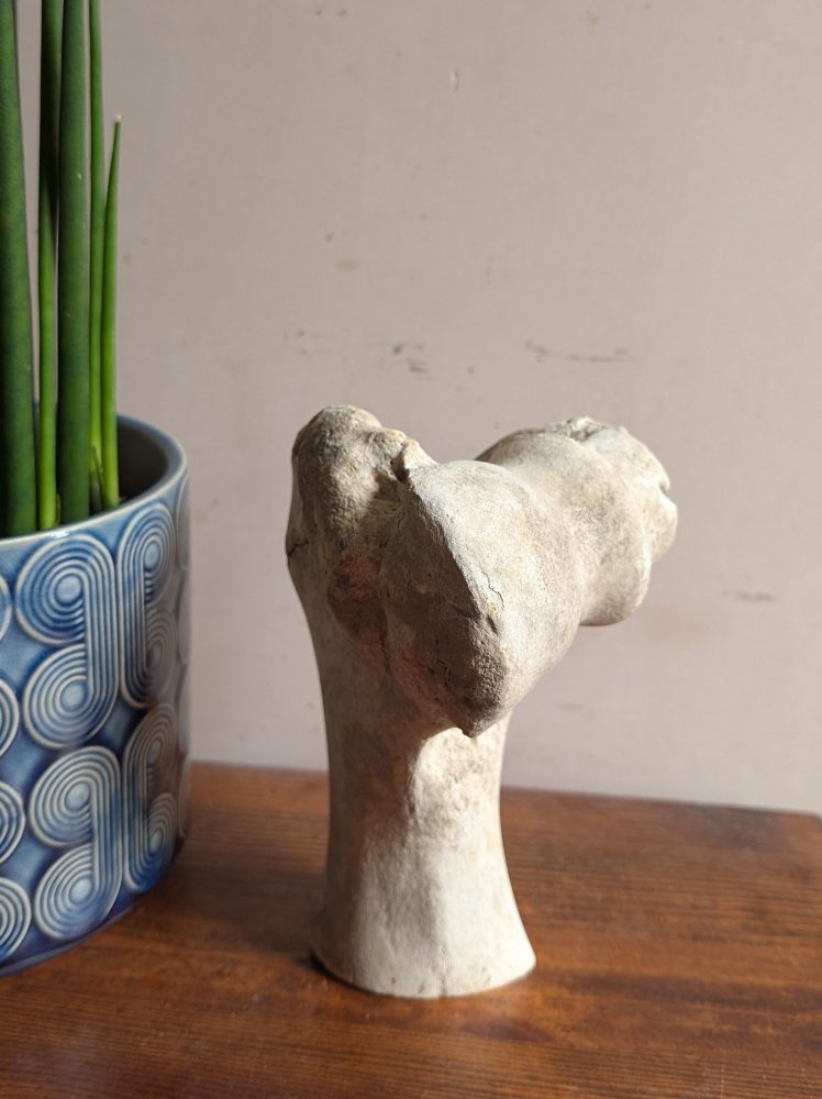 Large unknown bone specimen | Oaky Doke Vintage Home