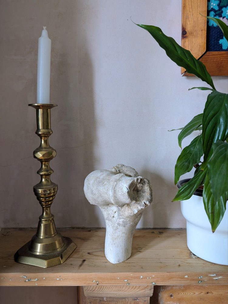 Large unknown bone specimen | Oaky Doke Vintage Home